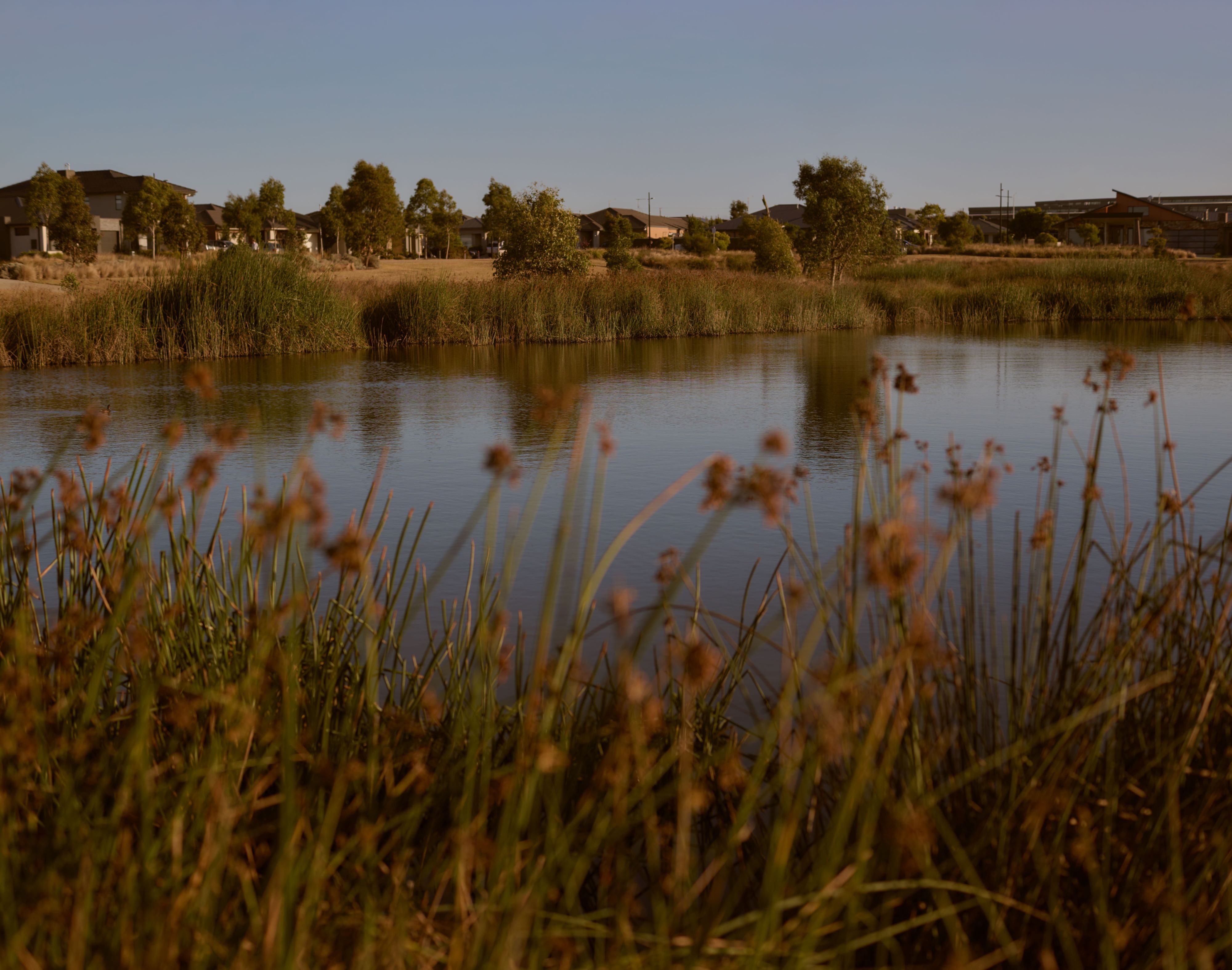 [Land] Lot 3303 @ Ashbury Estate - Armstrong Creek | OpenLot