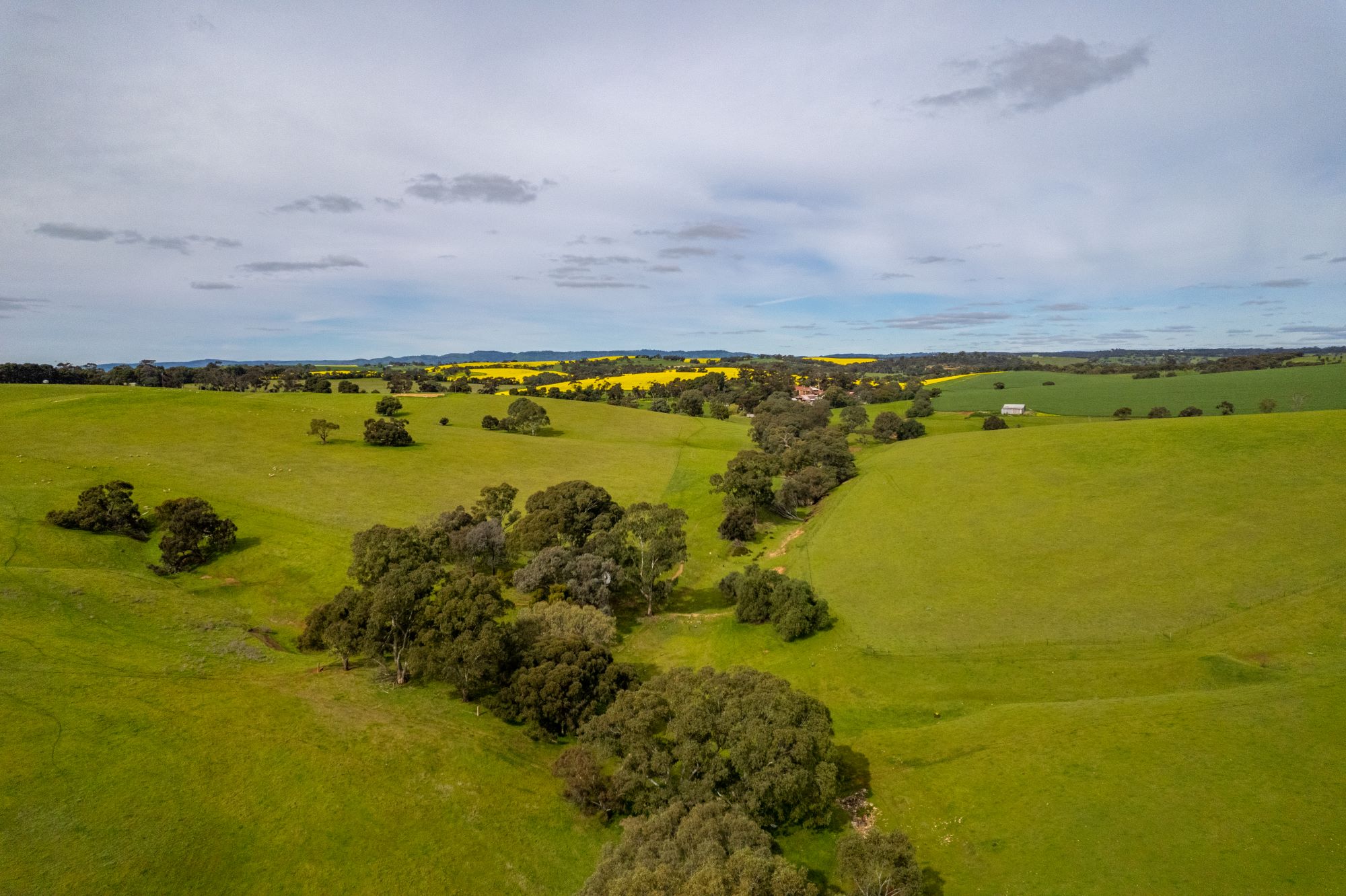 [Land for Sale] Springwood Estate, Gawler East | OpenLot