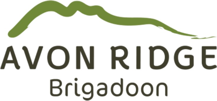 OpenLot: The Home of New Homes